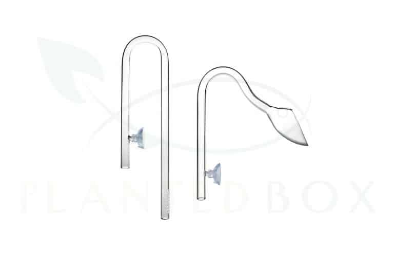 Violet lily pipe for aquarium | PlantedBox