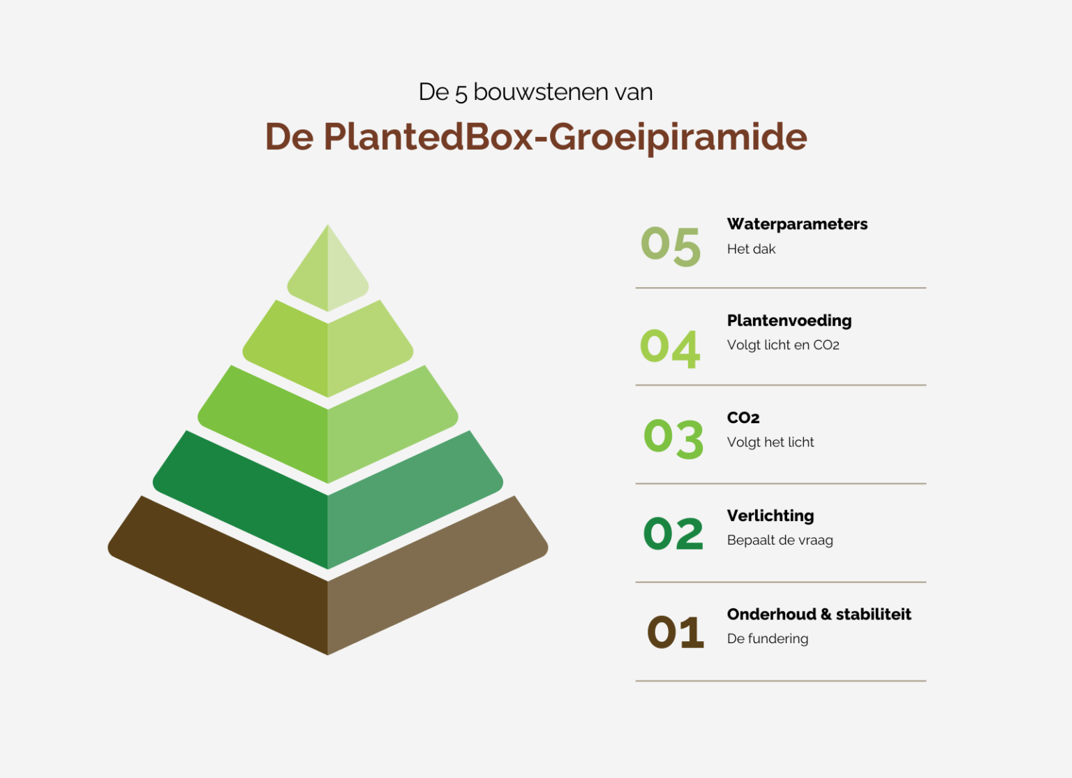 Algen in je aquarium bestrijden: soorten + aanpak | PlantedBox