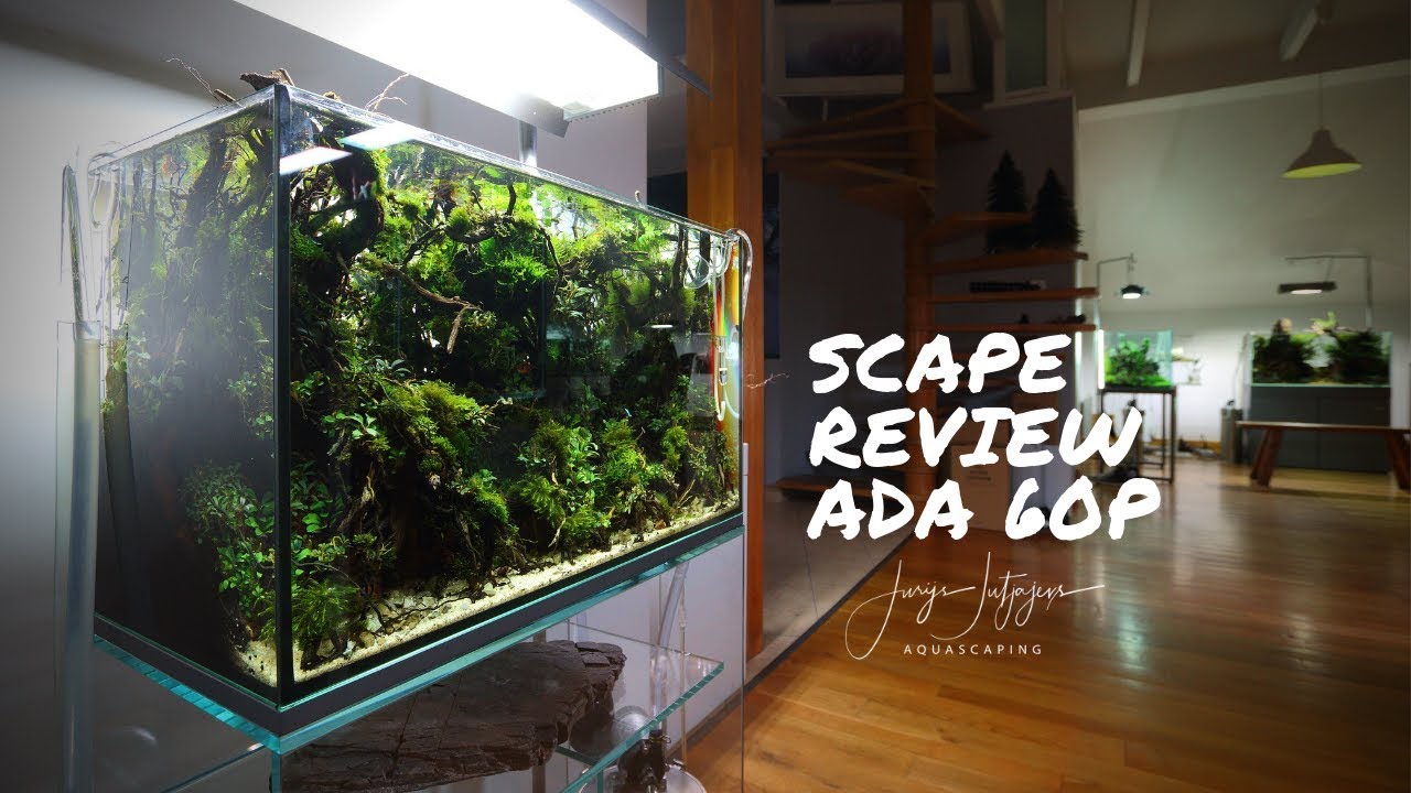 CO2 diffusers voor je aquarium: een complete gids | PlantedBox